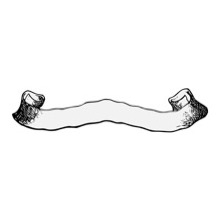 James Foster - Traceable Heraldic Art