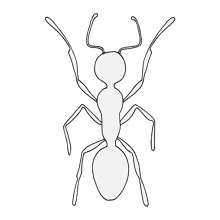 Ant - Traceable Heraldic Art