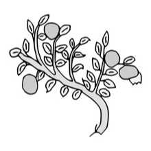 Sprig - Traceable Heraldic Art