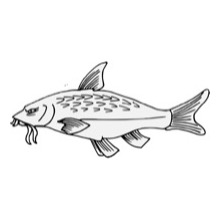 Fish - Traceable Heraldic Art
