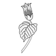 Belladona - Traceable Heraldic Art