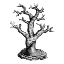 Branch of Coral - Traceable Heraldic Art