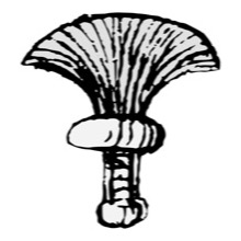 Brush - Traceable Heraldic Art