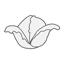 Cabbage - Traceable Heraldic Art