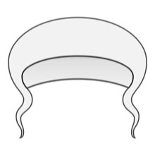 Coif - Traceable Heraldic Art