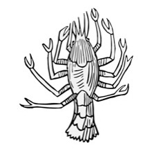 Crayfish - Traceable Heraldic Art