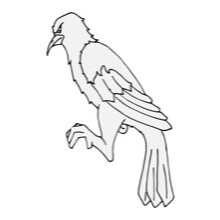 Crow - Traceable Heraldic Art