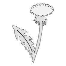 Dandelion - Traceable Heraldic Art