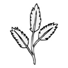 Elder - Traceable Heraldic Art