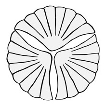 Escallops In Pall Inverted Hinges to Center - Traceable Heraldic Art