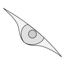 Wapenboek B 89420 A - Traceable Heraldic Art