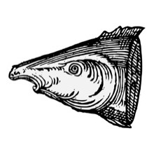 Head - Traceable Heraldic Art