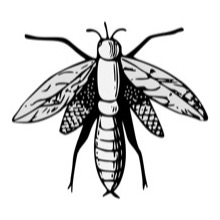 Gadfly - Traceable Heraldic Art