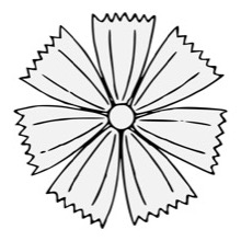 Gillyflower - Traceable Heraldic Art