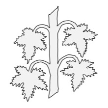 Vine - Traceable Heraldic Art