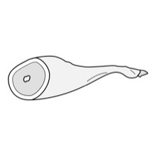 Ham - Traceable Heraldic Art