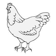 Hen - Traceable Heraldic Art