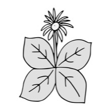 Herb Paris - Traceable Heraldic Art