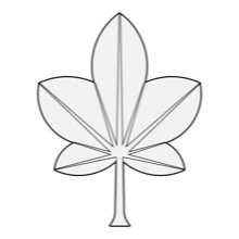 Ivy - Traceable Heraldic Art