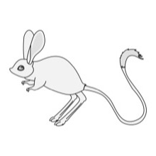 Jerboa - Traceable Heraldic Art