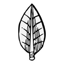 Laurel - Traceable Heraldic Art