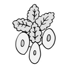 Lemon Balm - Traceable Heraldic Art