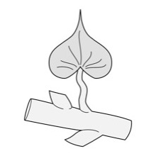 Staff - Traceable Heraldic Art