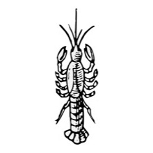 Lobster - Traceable Heraldic Art