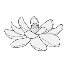 Magnolia - Traceable Heraldic Art