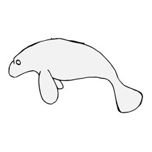 Manatee - Traceable Heraldic Art