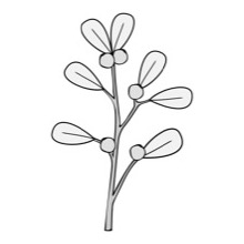 Mistletoe - Traceable Heraldic Art