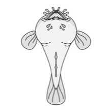 Monkfish - Traceable Heraldic Art