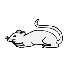 Mouse - Traceable Heraldic Art