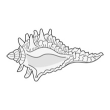 Murex - Traceable Heraldic Art