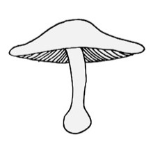 Mushroom - Traceable Heraldic Art