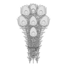 Ragna stórráða Úlfsdóttir - Traceable Heraldic Art