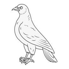 Pigeon - Traceable Heraldic Art