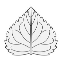 Poplar - Traceable Heraldic Art