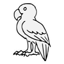 Poppinjay - Traceable Heraldic Art