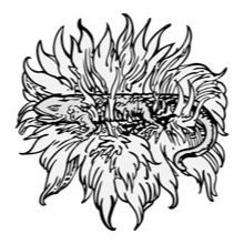Salamander - Traceable Heraldic Art