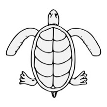Sea-Tortoise - Traceable Heraldic Art