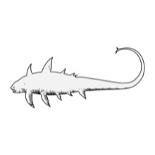 The True Description of This Marvellous Strange Fish - Traceable ...