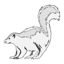 Skunk - Traceable Heraldic Art