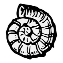 Shell - Traceable Heraldic Art