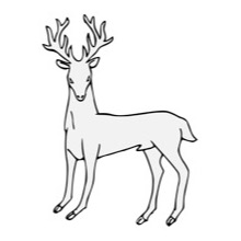 Stag - Traceable Heraldic Art