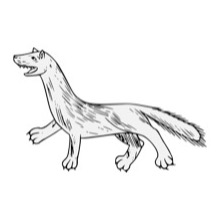 Wappenbuch der Bruderschaft des heiligen Christophorus am Arlberg ...