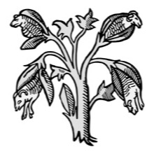 Vegetable Lamb - Traceable Heraldic Art